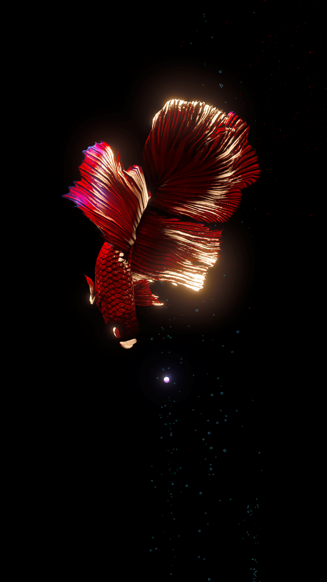 BETTA 120HZ – MAXELUS 2024